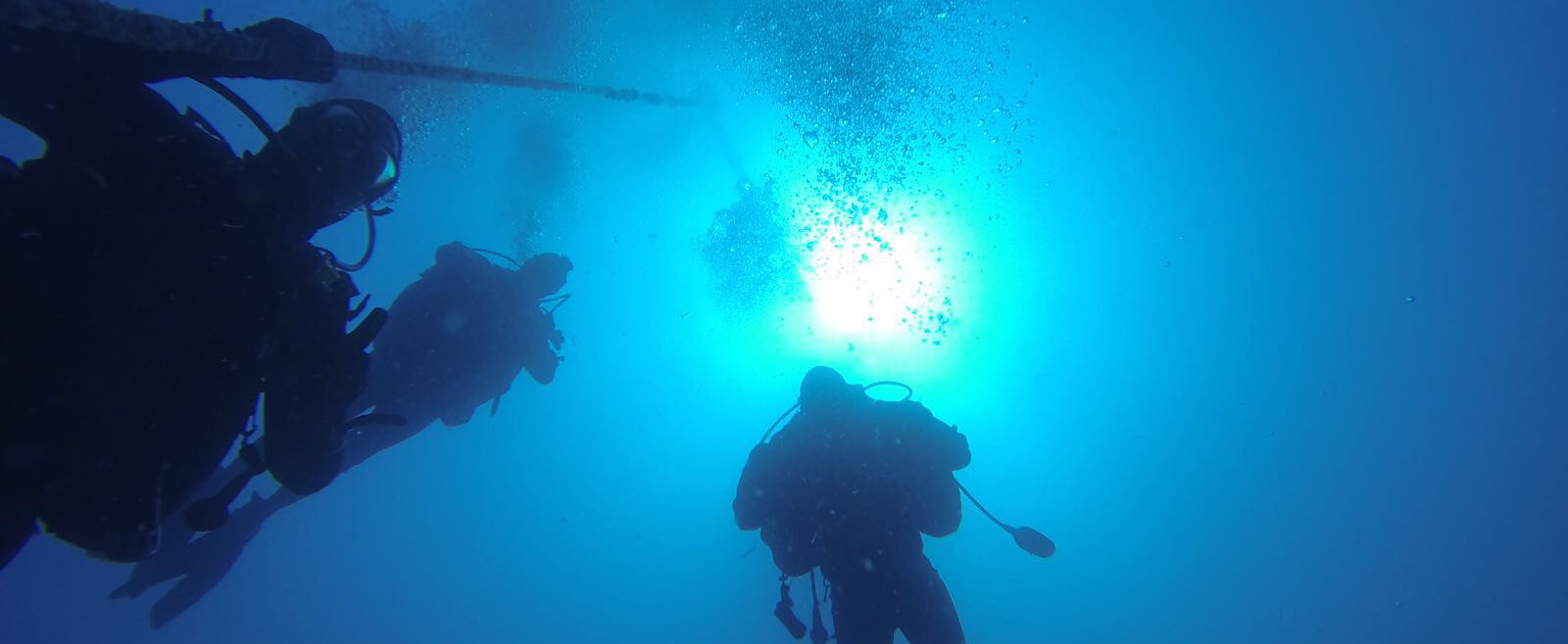 Home | Orca Dive Center