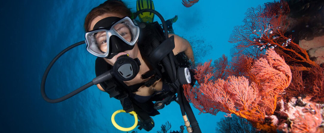 Home | Orca Dive Center