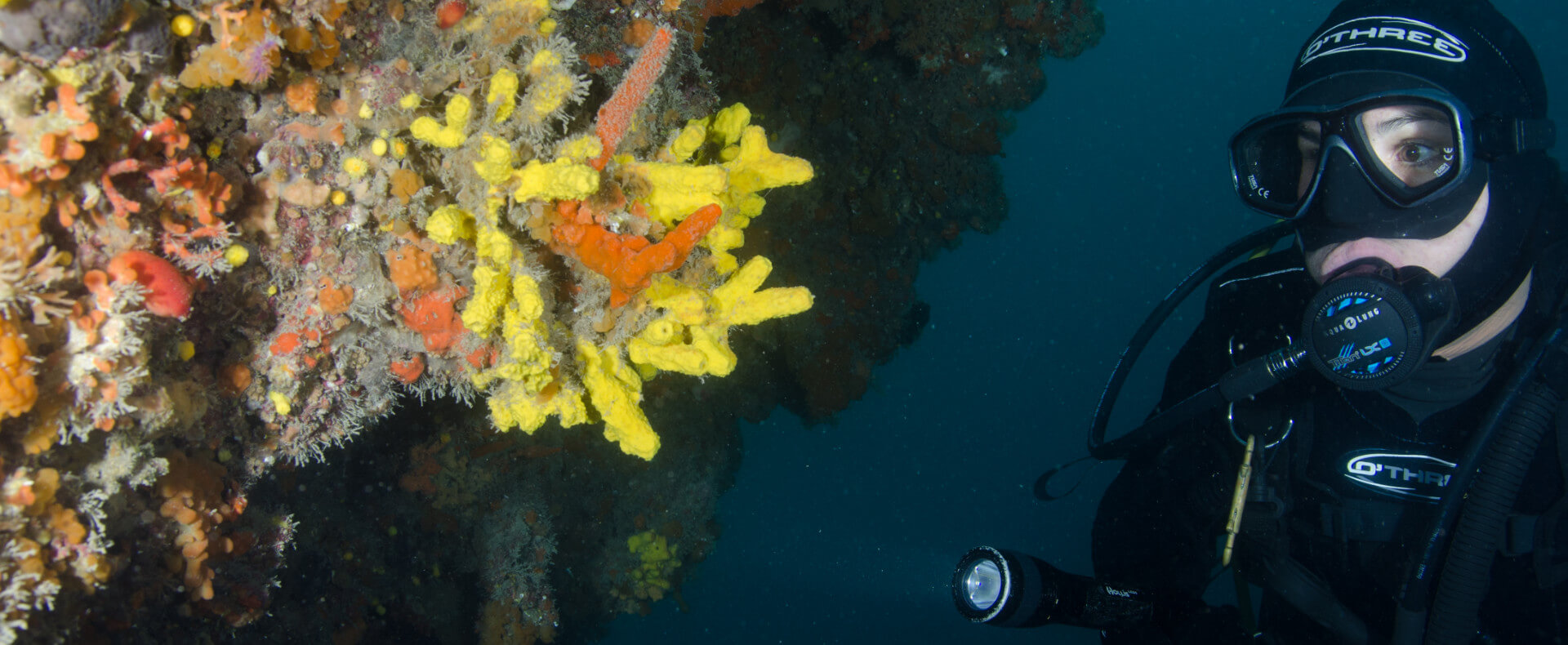 Home | Orca Dive Center